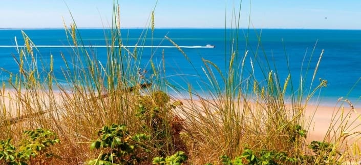 Beach - Zout Zoutelande